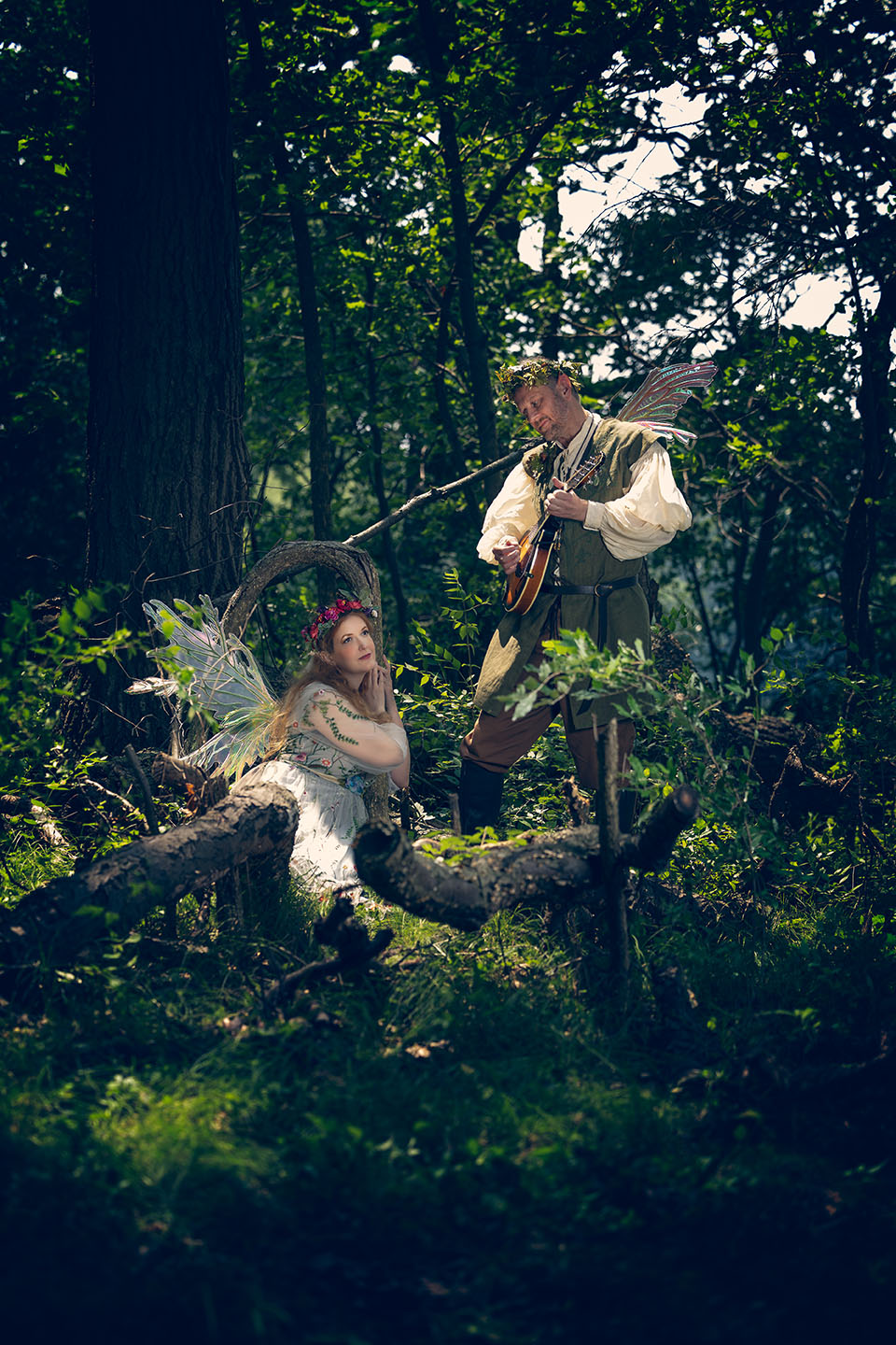 Wings – D.M. Anderson, Artist